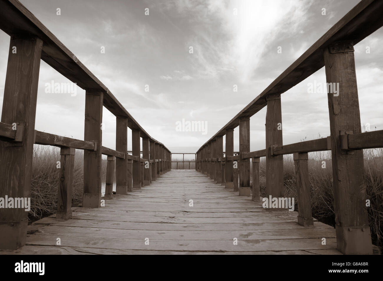 Wetland wooden pathway in sepia tone. Horizontal format Stock Photo - Alamy