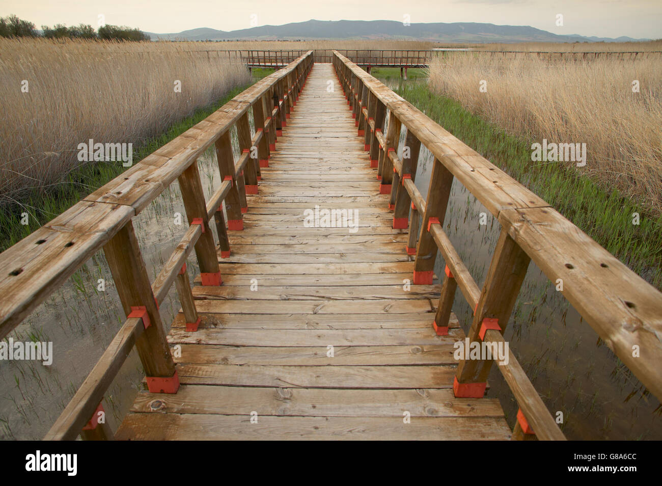 Format horizontal walk hi-res stock photography and images - Alamy