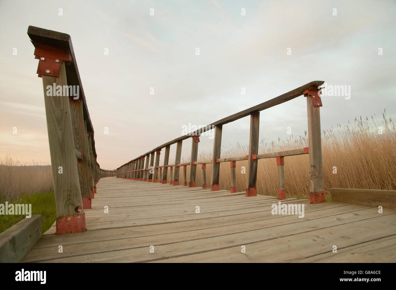 Wetland wooden pathway at sunset. Spain. Horizontal format Stock Photo ...