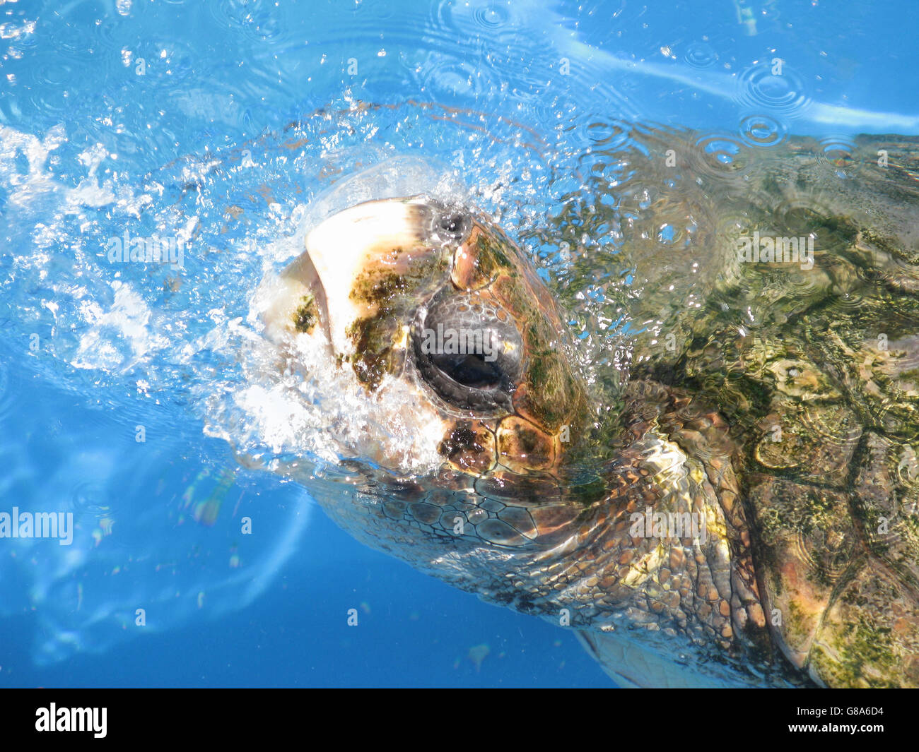 Horizontal format square format hi-res stock photography and images - Alamy