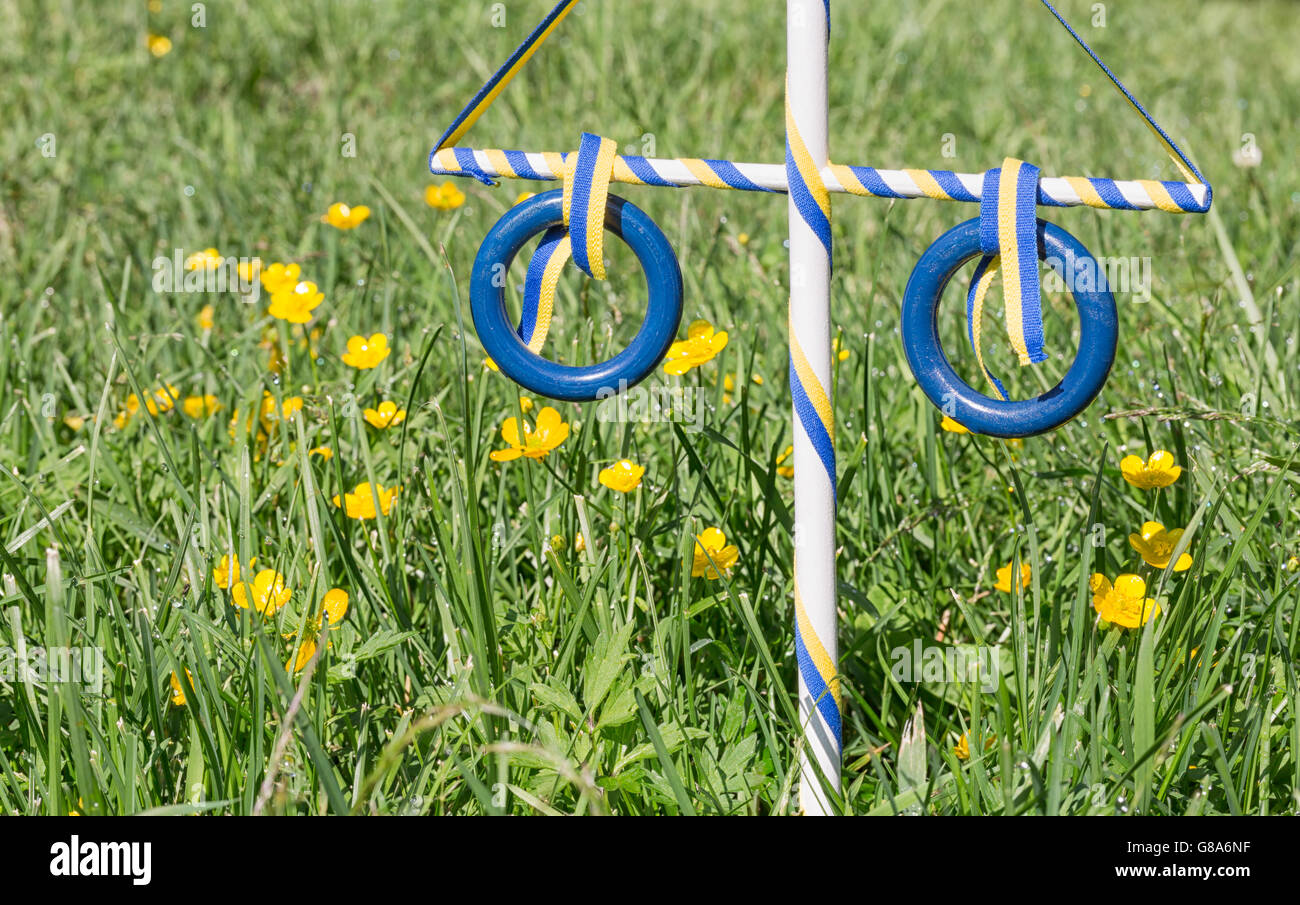 Ornament Maypole in Grass with buttercup flowers Stock Photo - Alamy