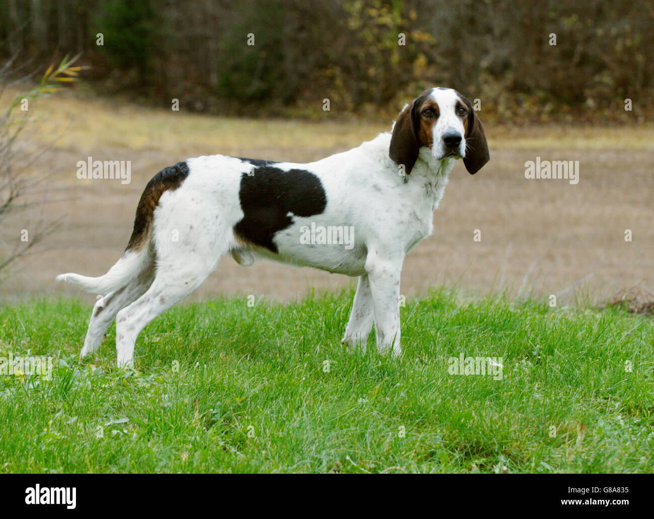 Halden and norway hi-res stock photography and images - Alamy