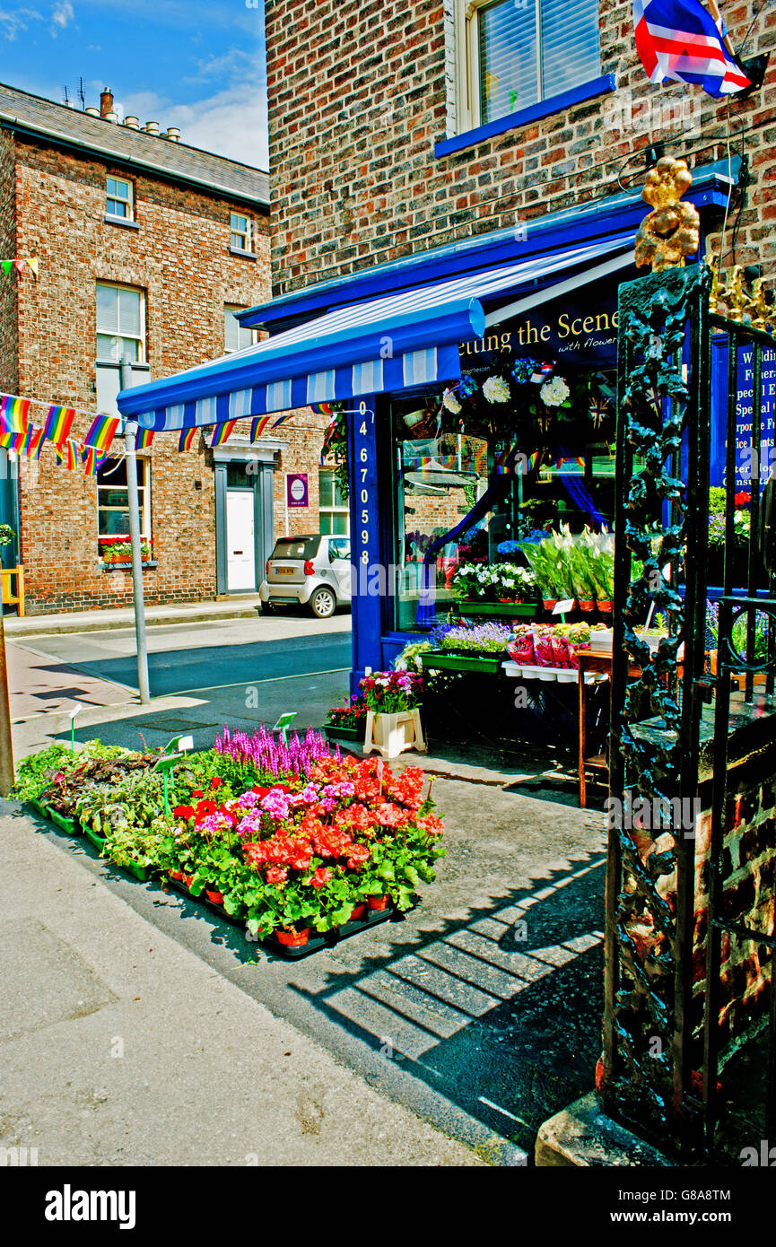 Florists in Bishy Road, York Stock Photo - Alamy