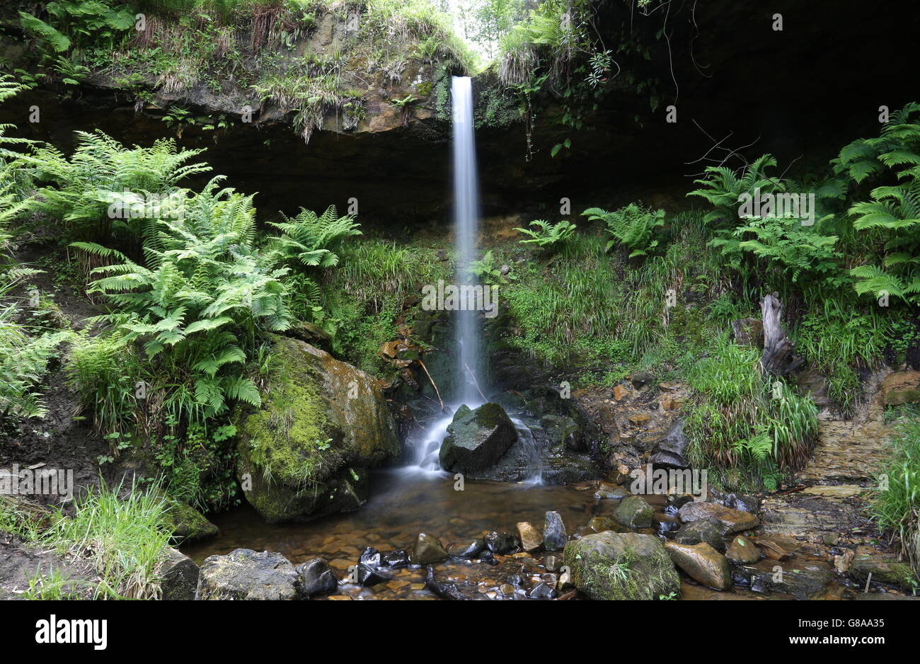 Yad Waterfall Maspie Den Falkland Fife Scotland June 2016 Stock Photo ...