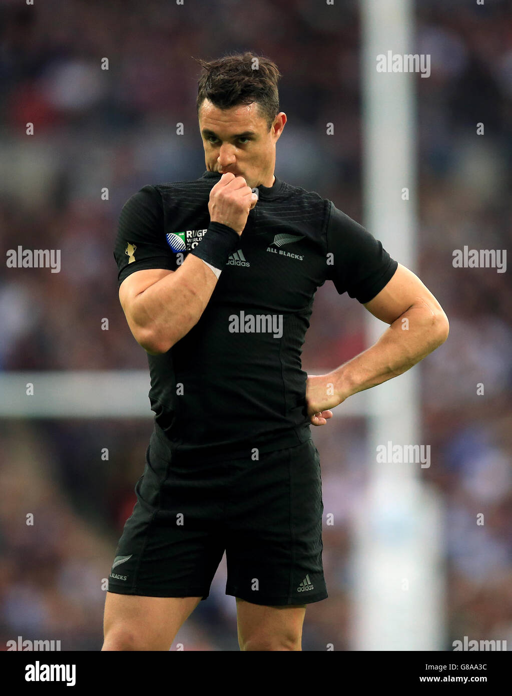 New zealands dan carter rugby world cup match wembley stadium hi-res ...