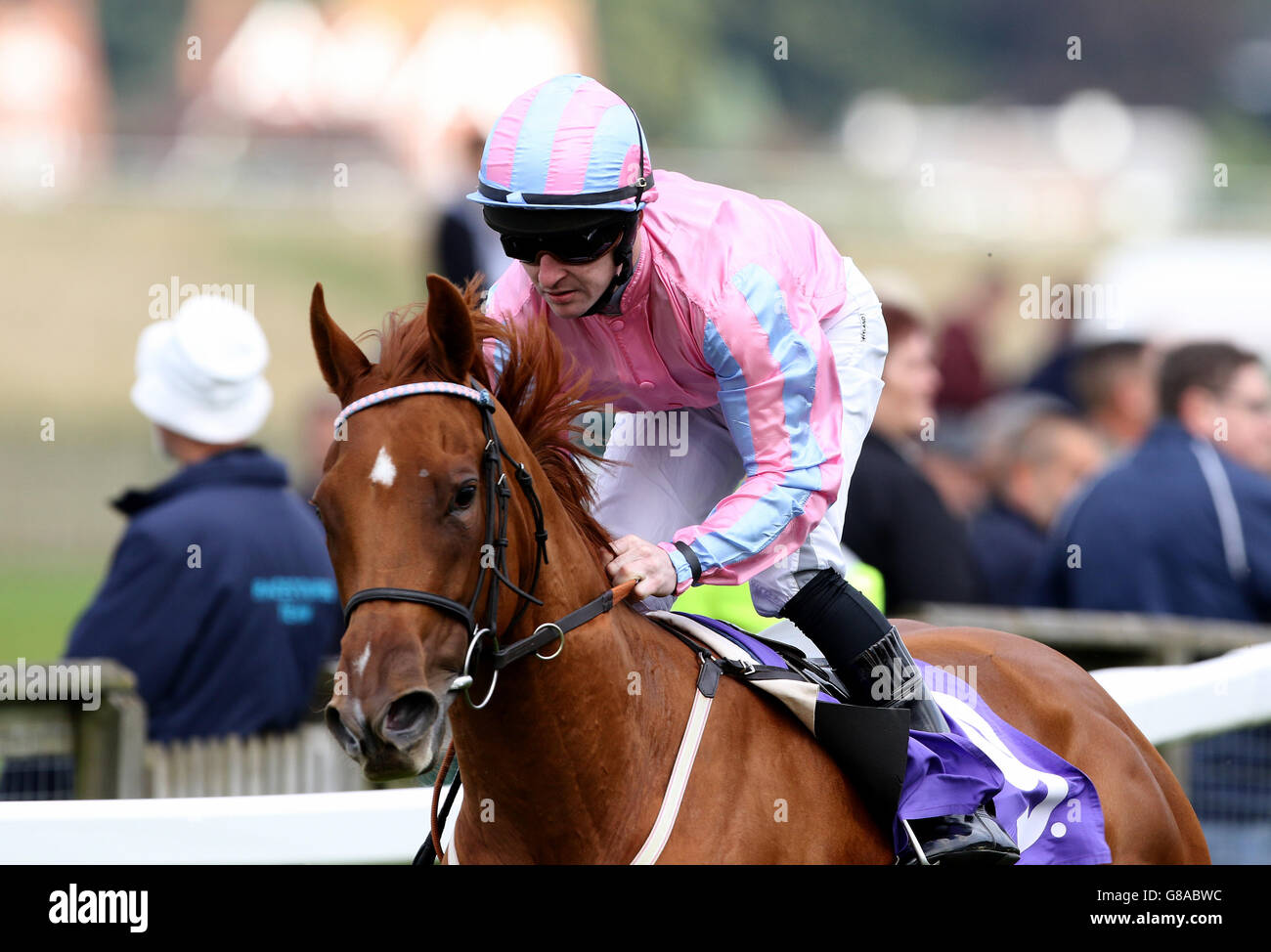 Horse Racing - Beverley Racecourse Stock Photo - Alamy