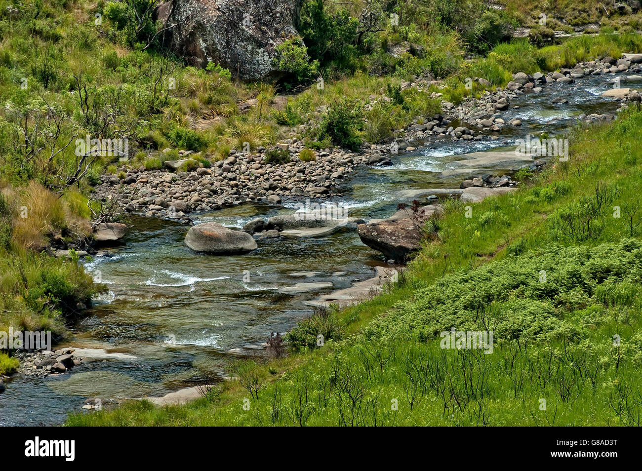 The Bushmans River valley in Giants Castle KwaZulu-Natal nature reserve ...