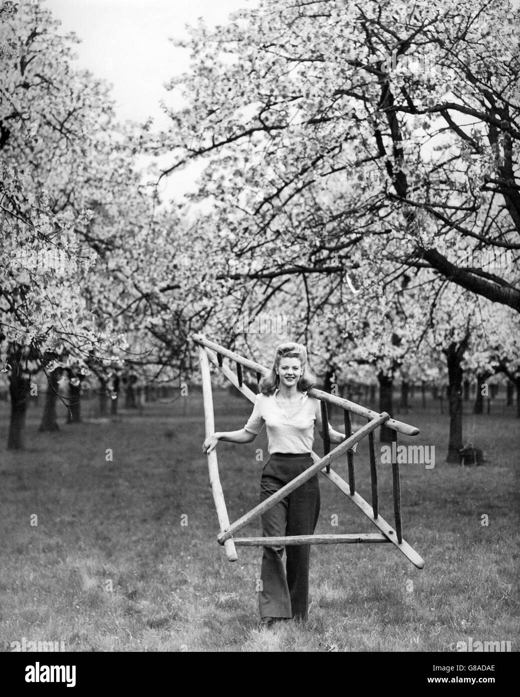 Orchard in kent Black and White Stock Photos & Images - Alamy