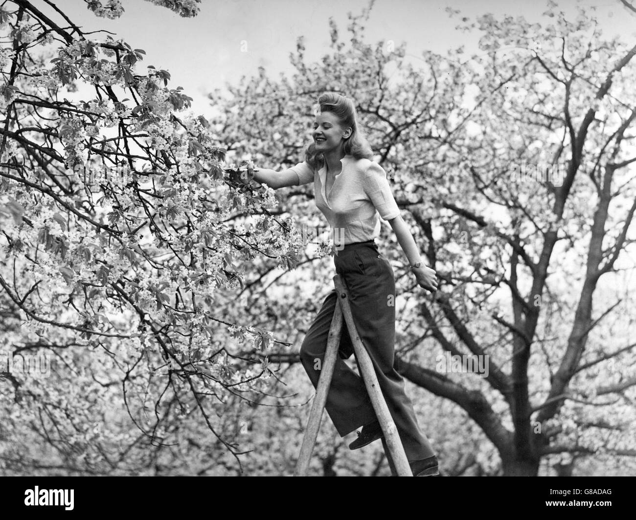 Kingsdown hi-res stock photography and images - Alamy