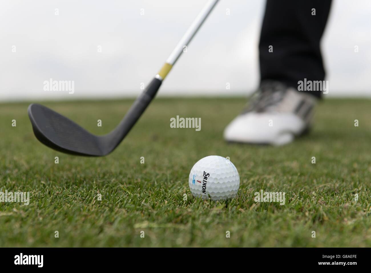golf player with racket at the tee, ready to tee off | usage worldwide ...