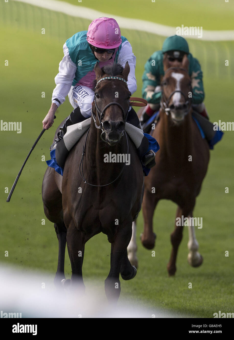 Time test horse hi-res stock photography and images - Alamy