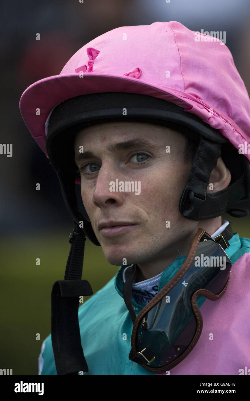 Time test horse hi-res stock photography and images - Alamy