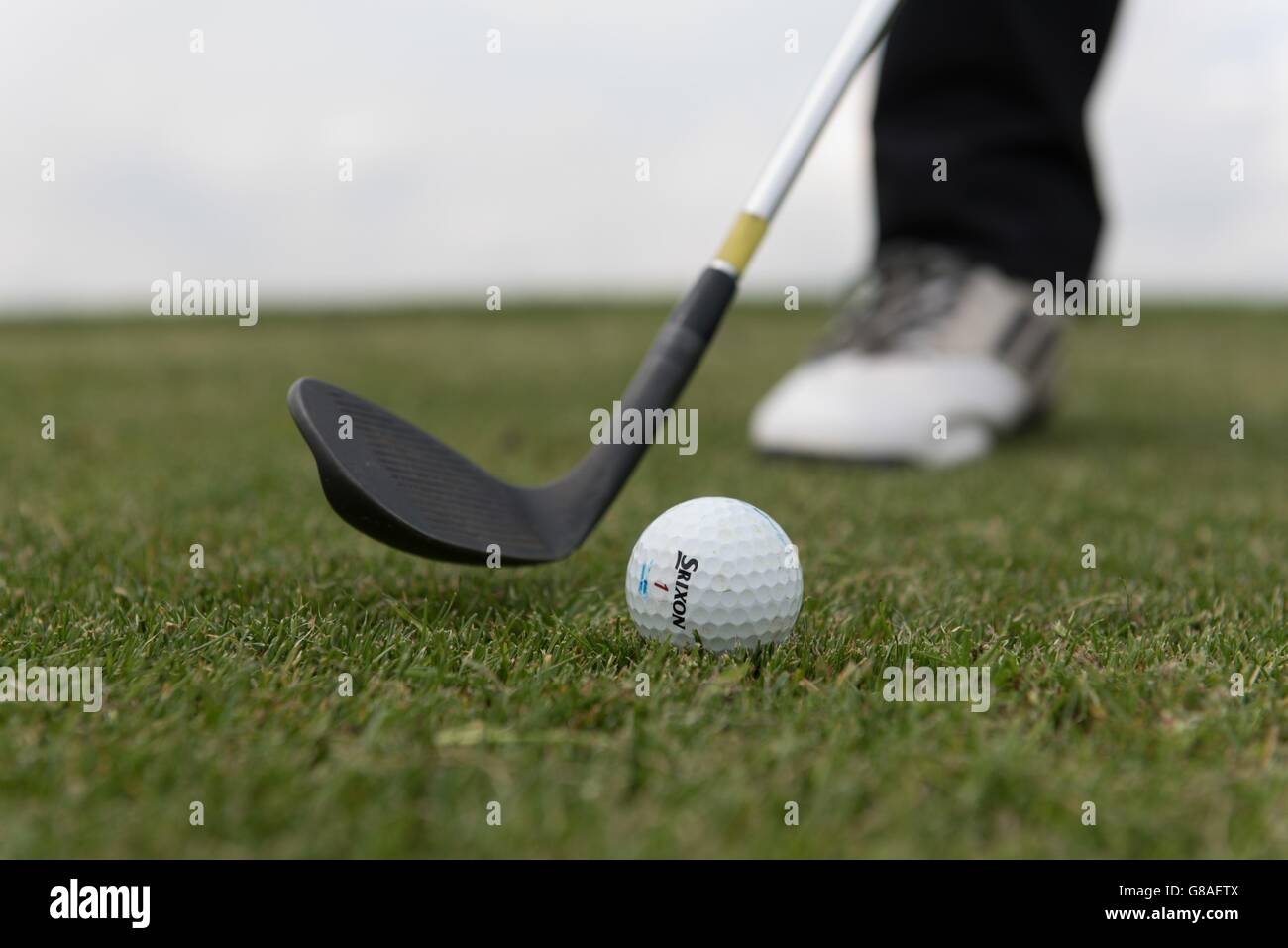 golf player with racket at the tee, ready to tee off | usage worldwide ...