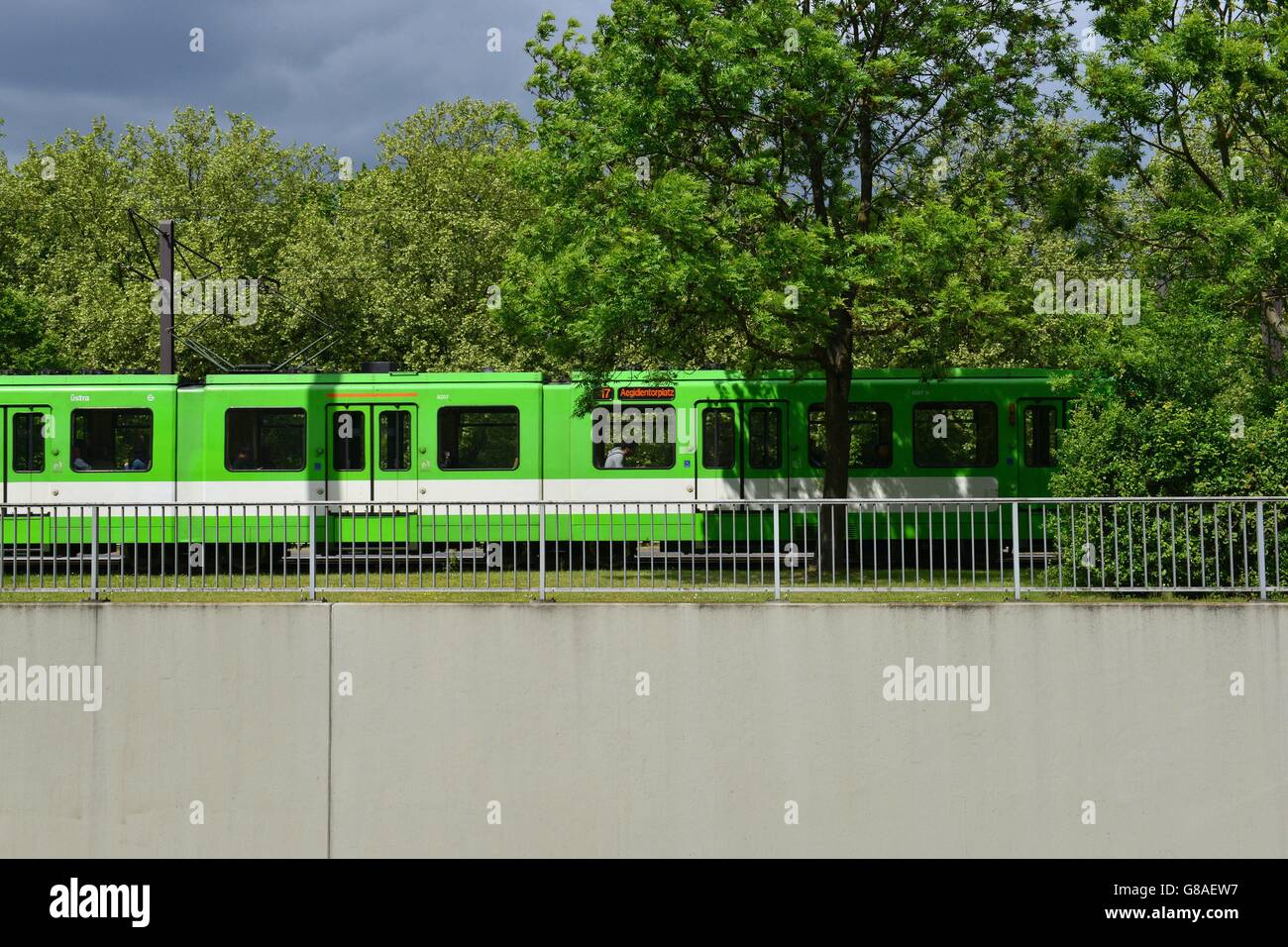 A green light rail vehicle in Hanover surrounded by green leaves under ...