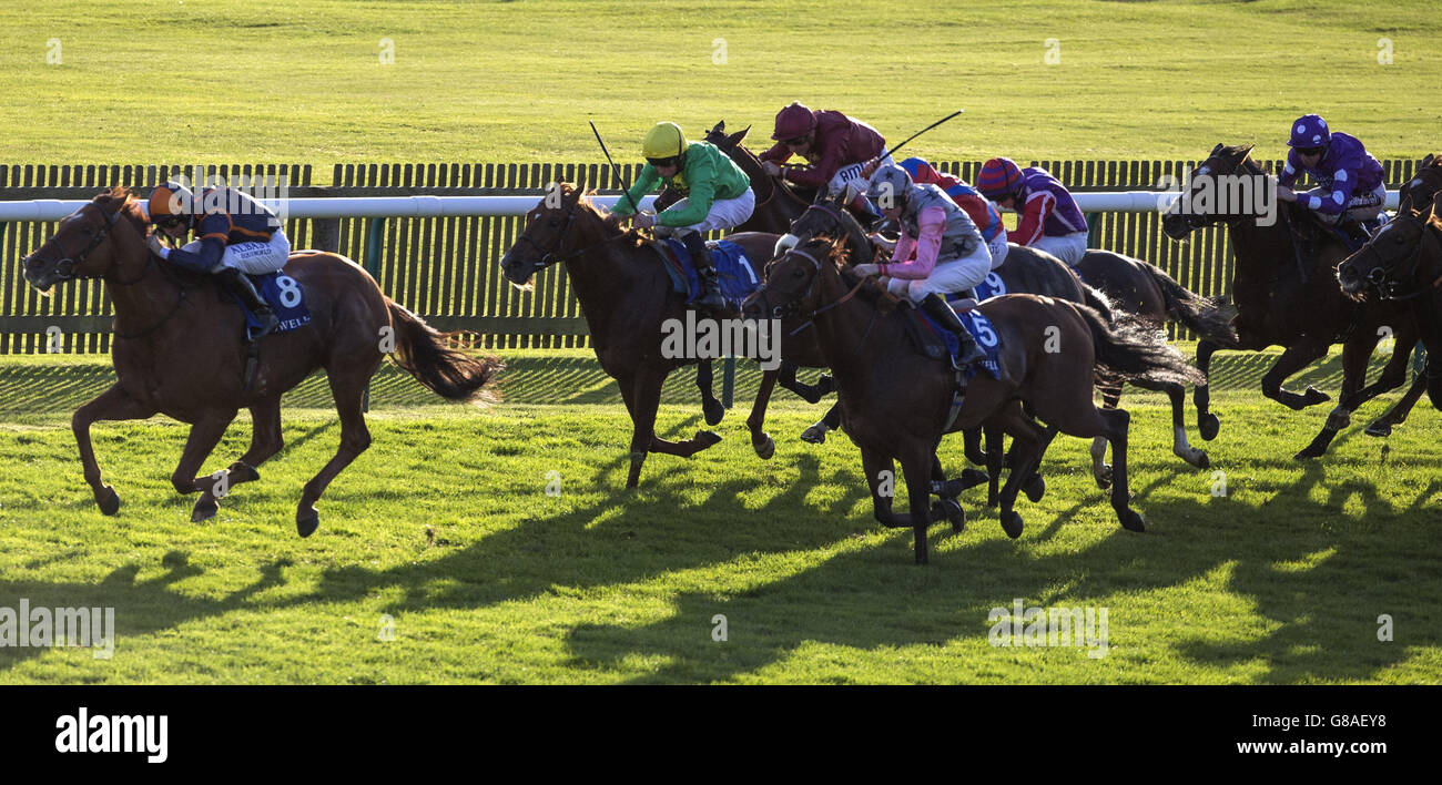Pat dobbs leads field home hi-res stock photography and images - Alamy