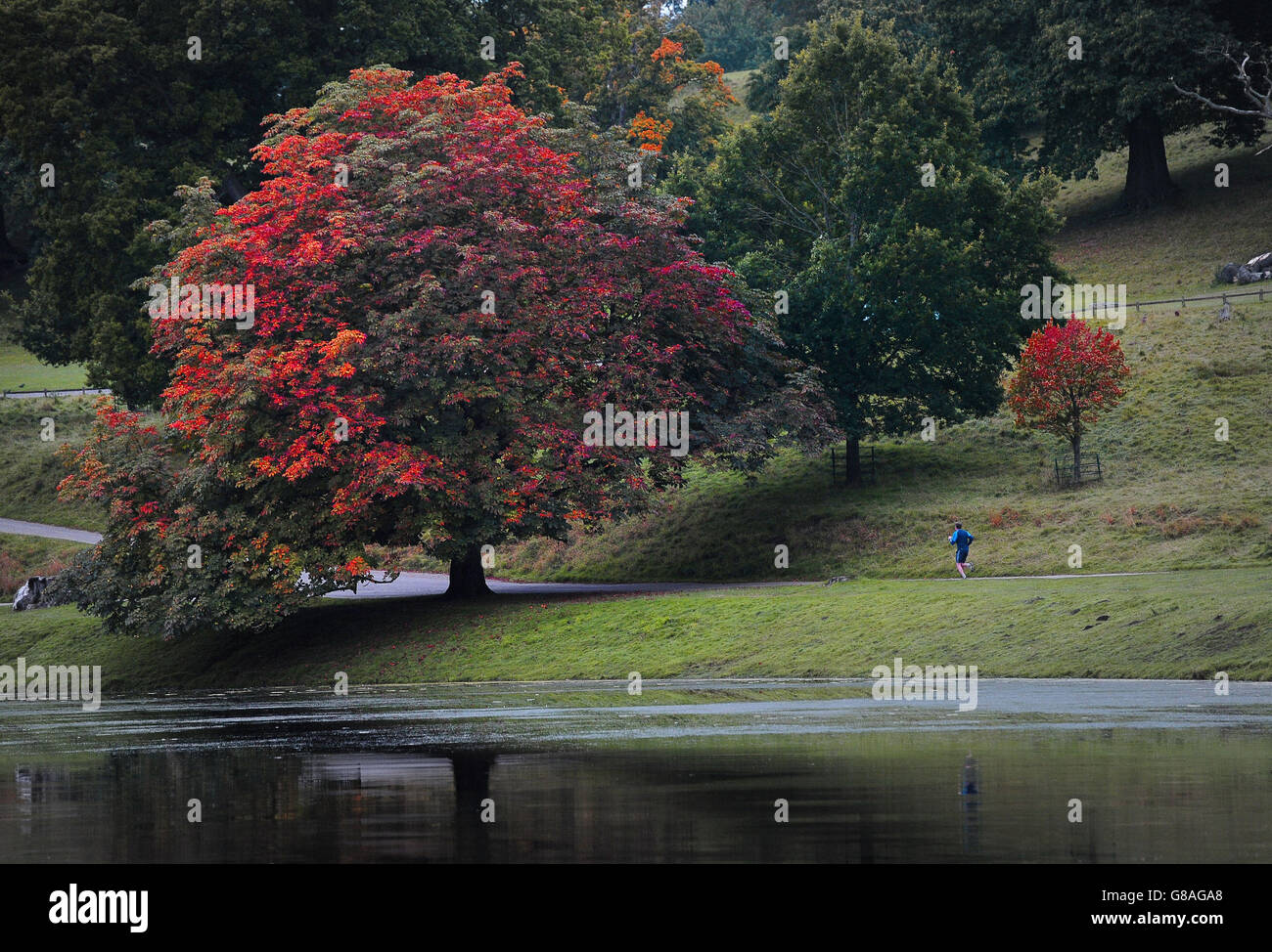 Run by the lake hi-res stock photography and images - Alamy