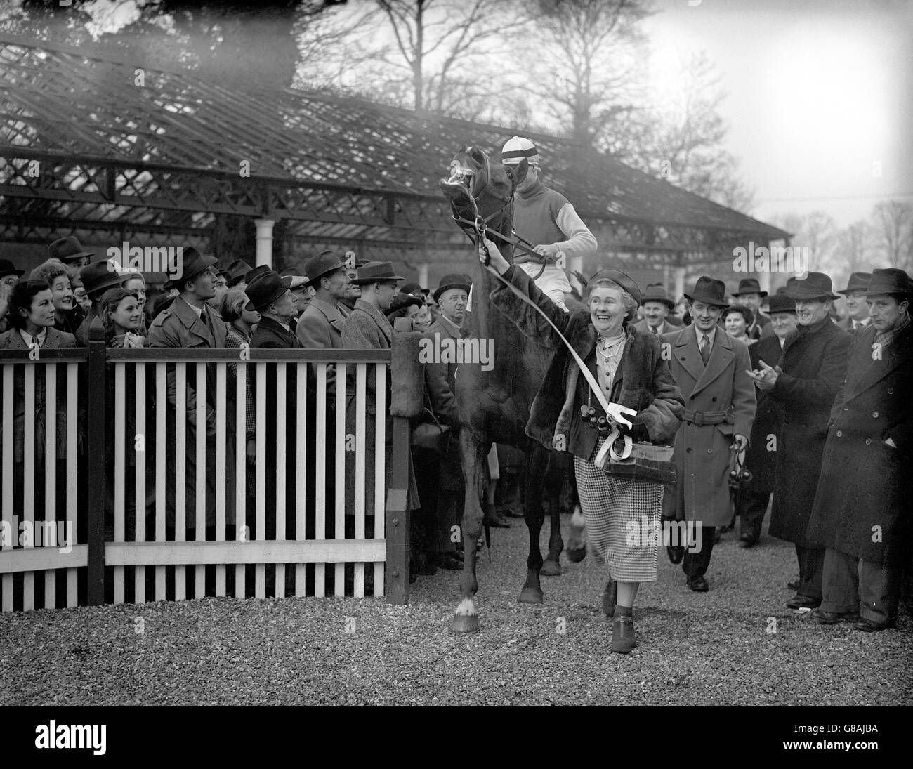 Horse Racing - King George VI Chase - Kempton Park Stock Photo - Alamy