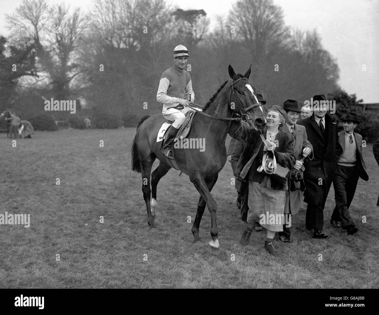 Cottage rake horse hi-res stock photography and images - Alamy