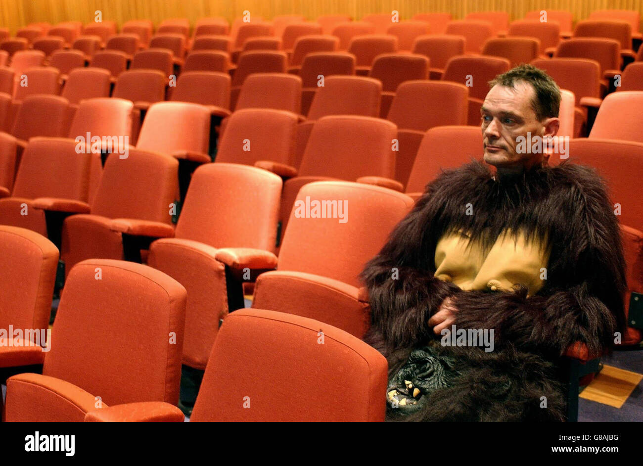 Mates primate natural history museum hi-res stock photography and ...