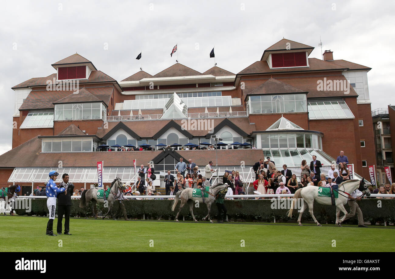 Horses in the Parade ring at Newbury Racecourse. PRESS ASSOCIATION ...
