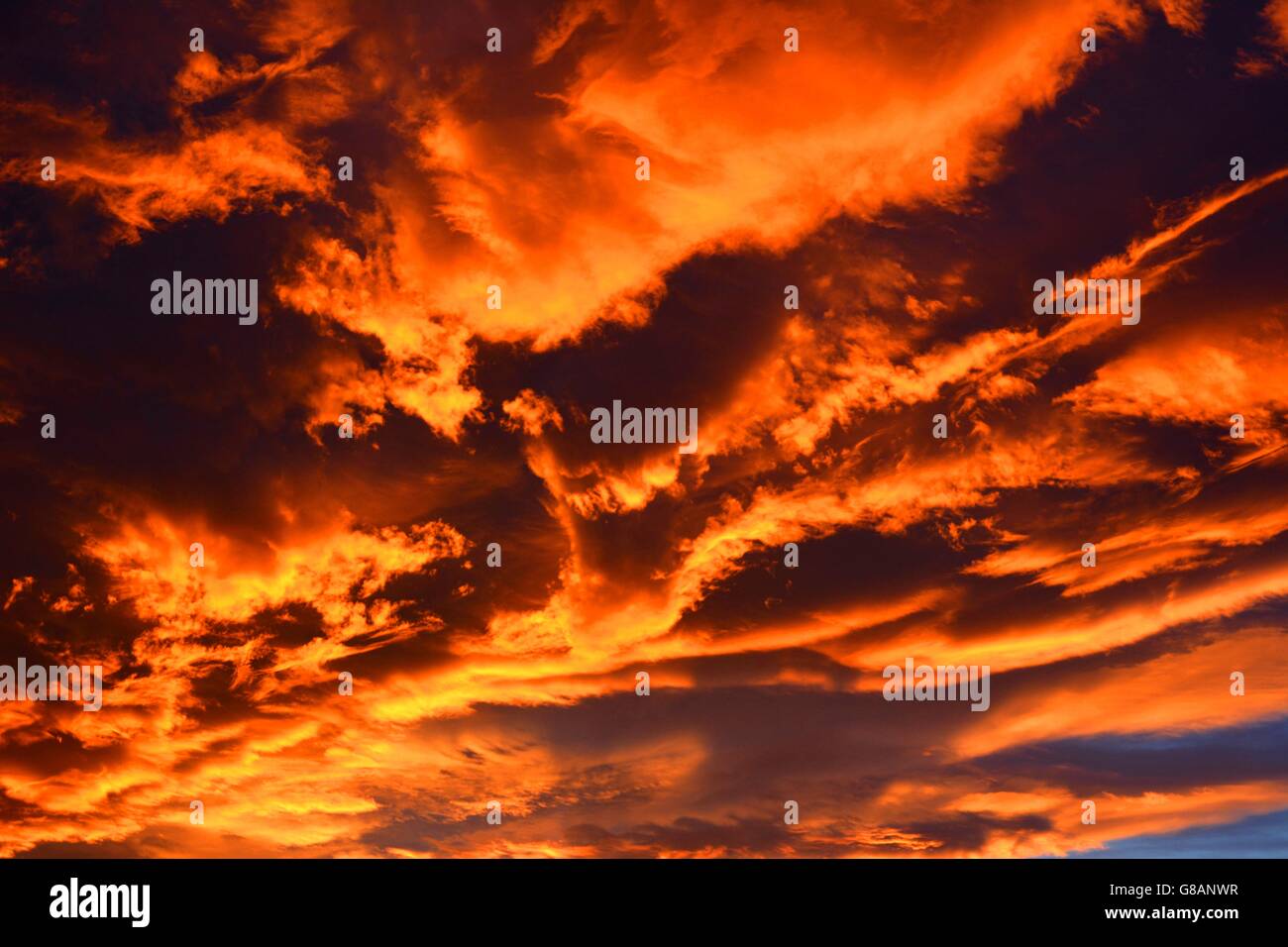 Wild fire sunset hi-res stock photography and images - Alamy