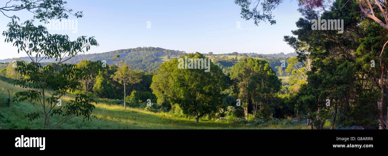 Panoramic view of the Wilson River Valley, near Federal, NSW, Australia ...