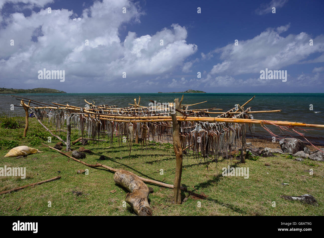 Trestles for hanging up octopus to dry, octopus fisherwoman, Anse ...