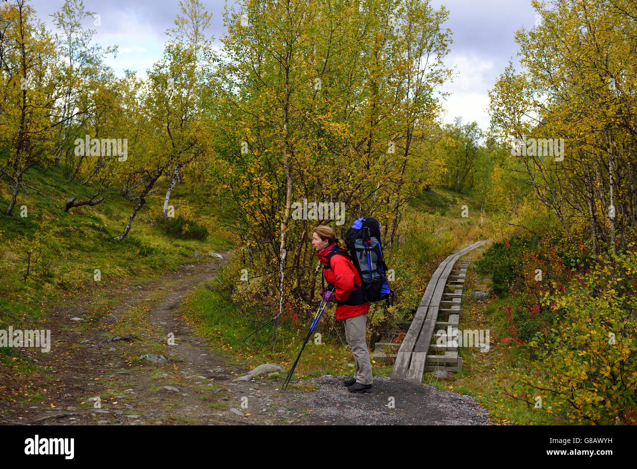Trekking Nikkaluokta - Kebnekaise Fjaellstation, Lappland, Sweden Stock ...