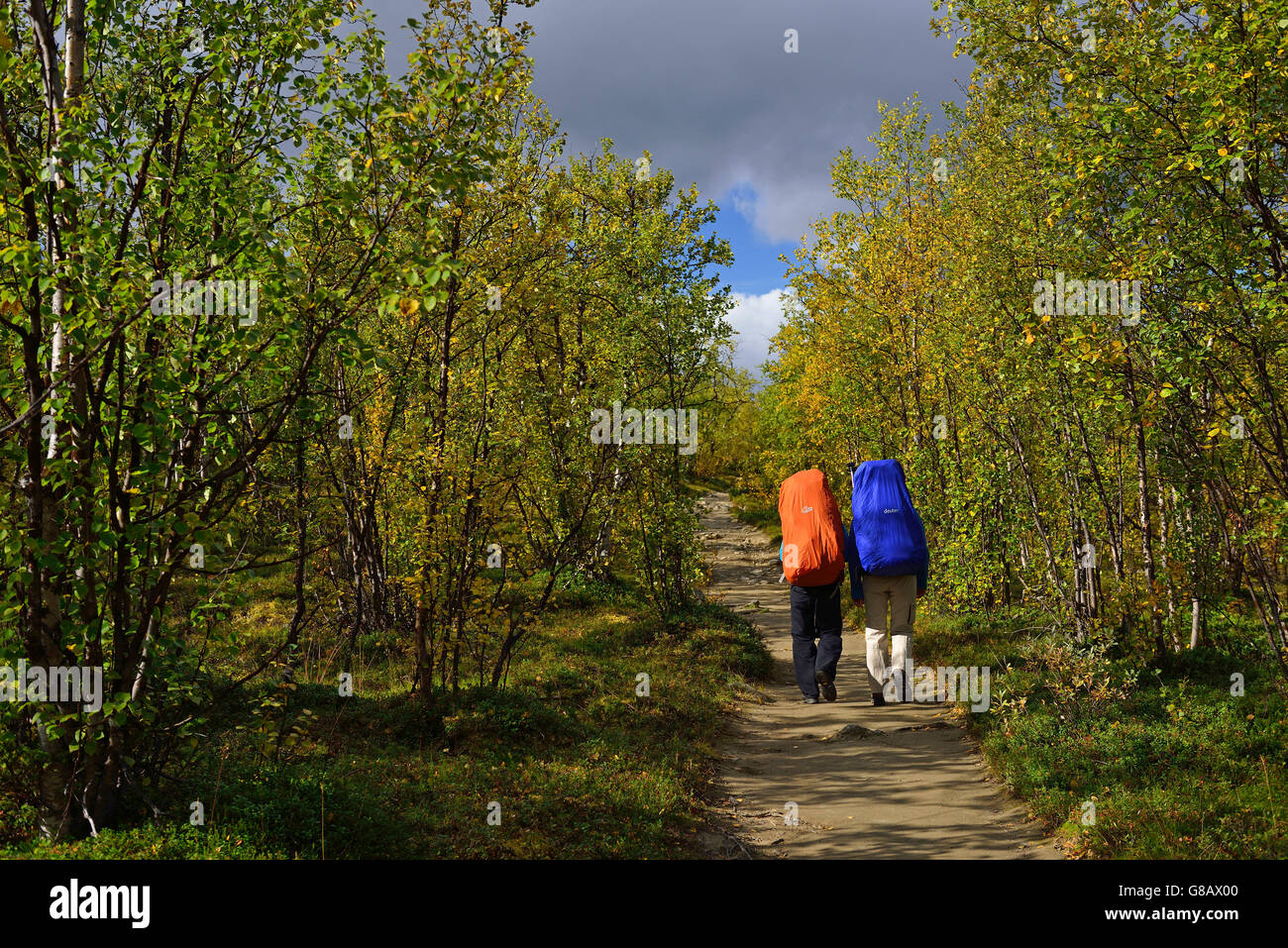 Trekking Nikkaluokta - Kebnekaise Fjaellstation, Lappland, Sweden Stock ...