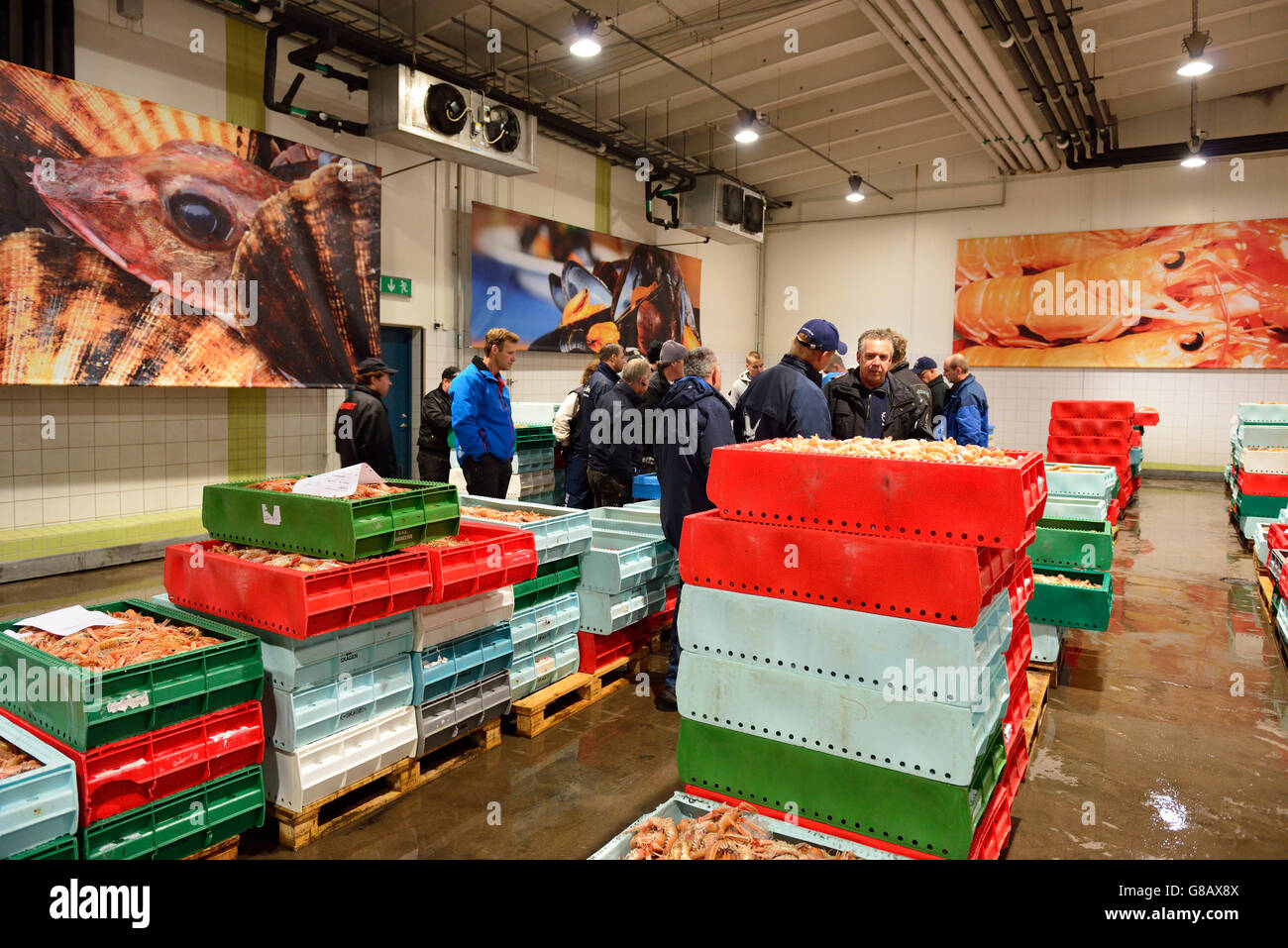 Auction of fishes hi-res stock photography and images - Alamy