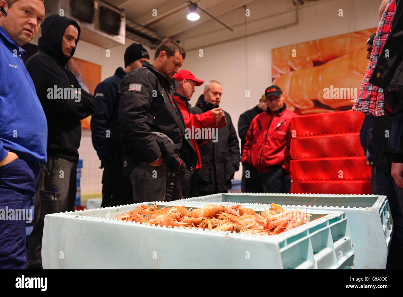 Auction of fishes hi-res stock photography and images - Alamy