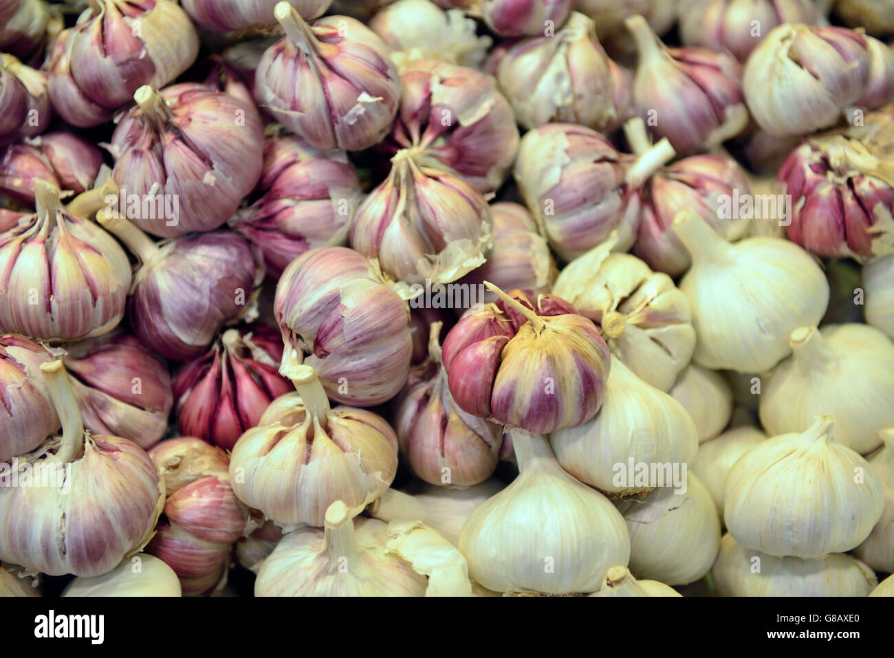 Garlic photos hi-res stock photography and images - Alamy