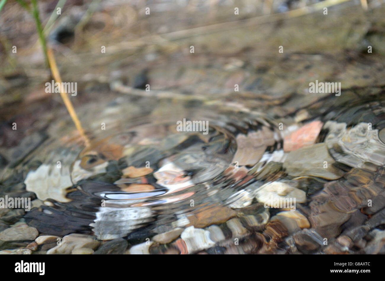 rain drop creates small ripple on clear puddle Stock Photo - Alamy