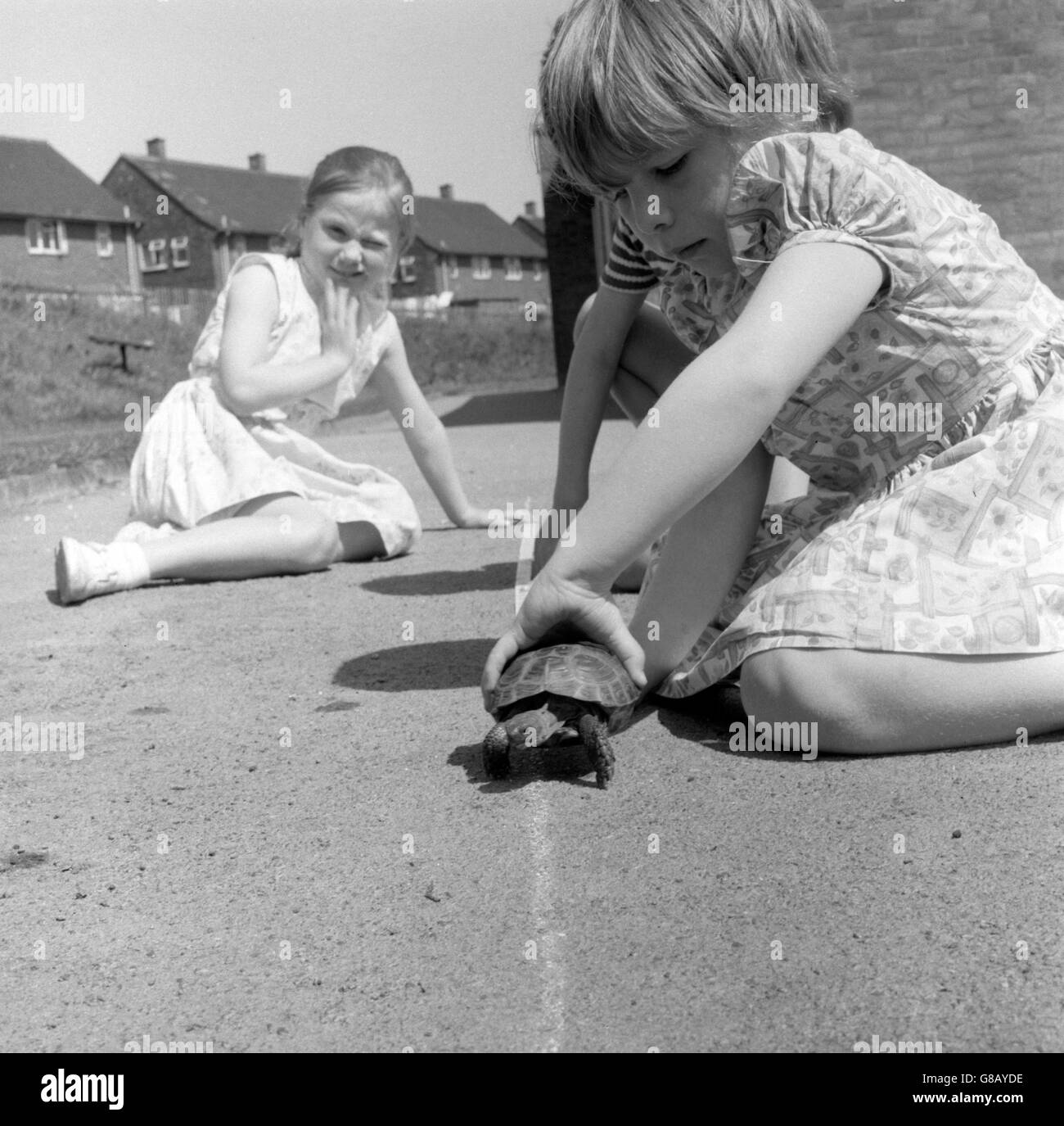 Child and tortoise Black and White Stock Photos & Images - Alamy