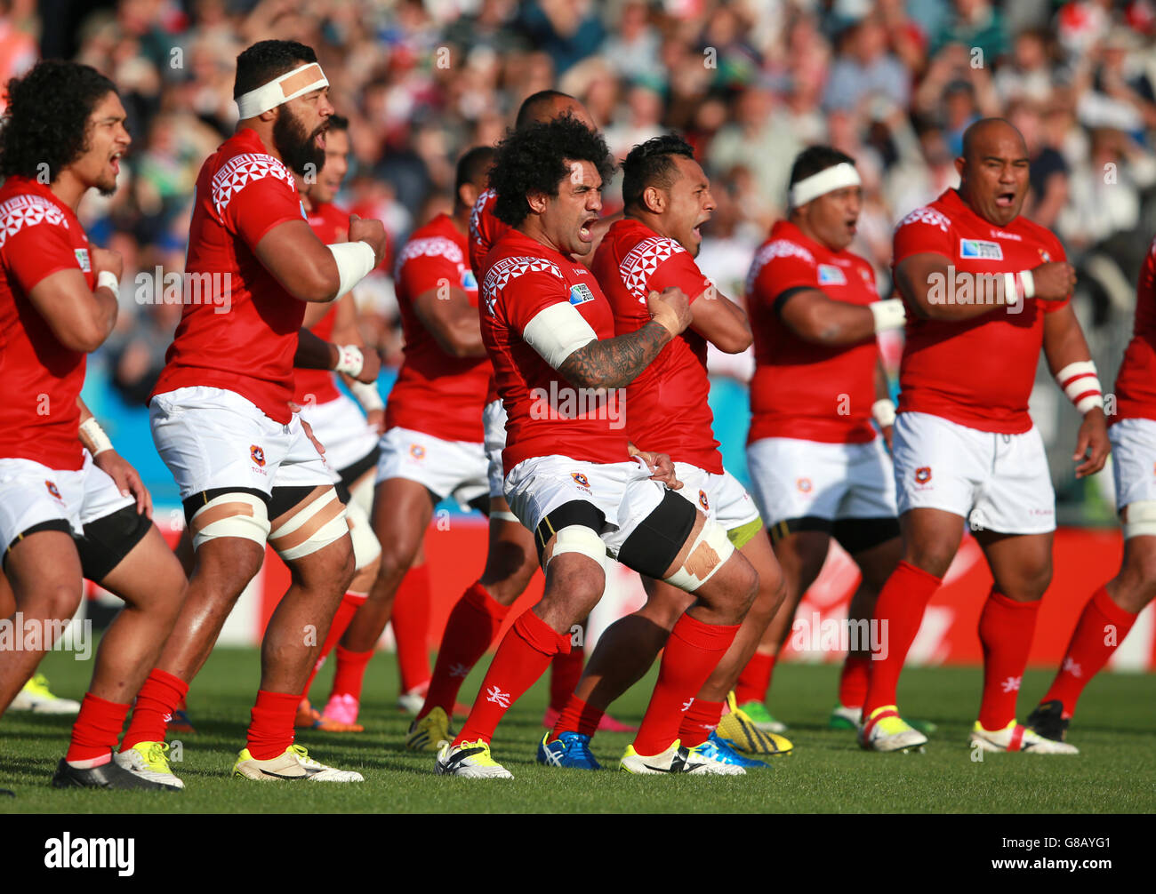 Tongan Rugby Haka