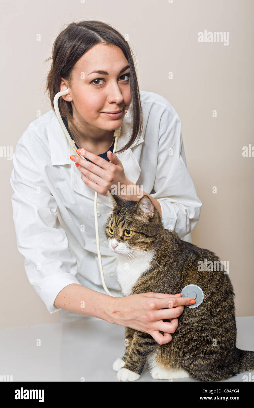 Veterinary Doctor Photos at Shirley Arrowood blog