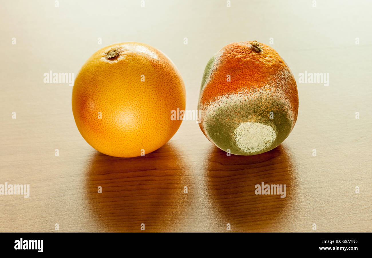 Rotten grapefruit hi-res stock photography and images - Alamy
