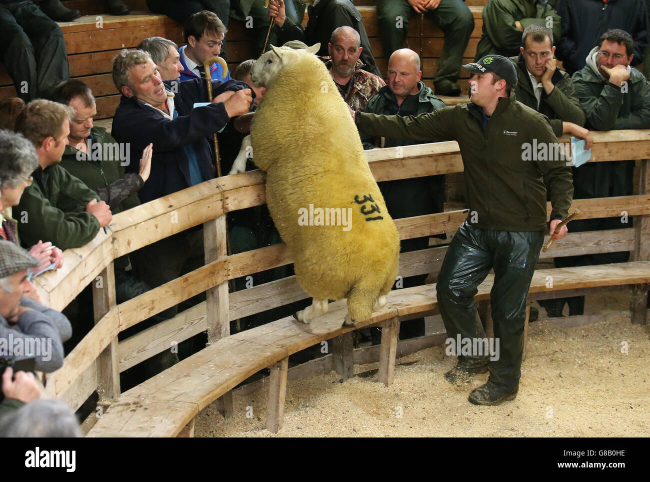 Annual sale hi-res stock photography and images - Alamy