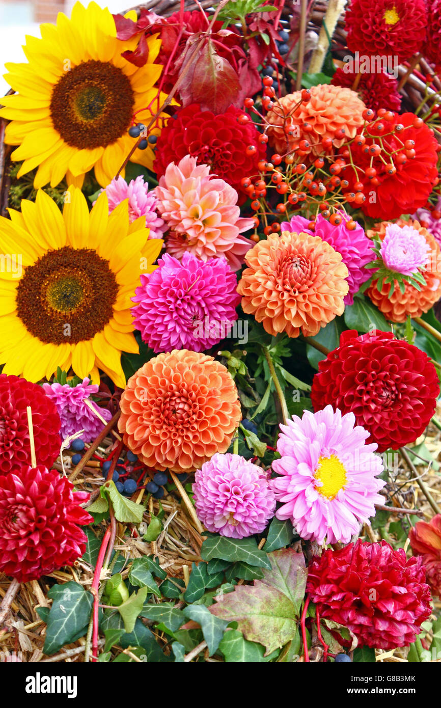 Decoration of a mixture of various flowers, natural background Stock ...