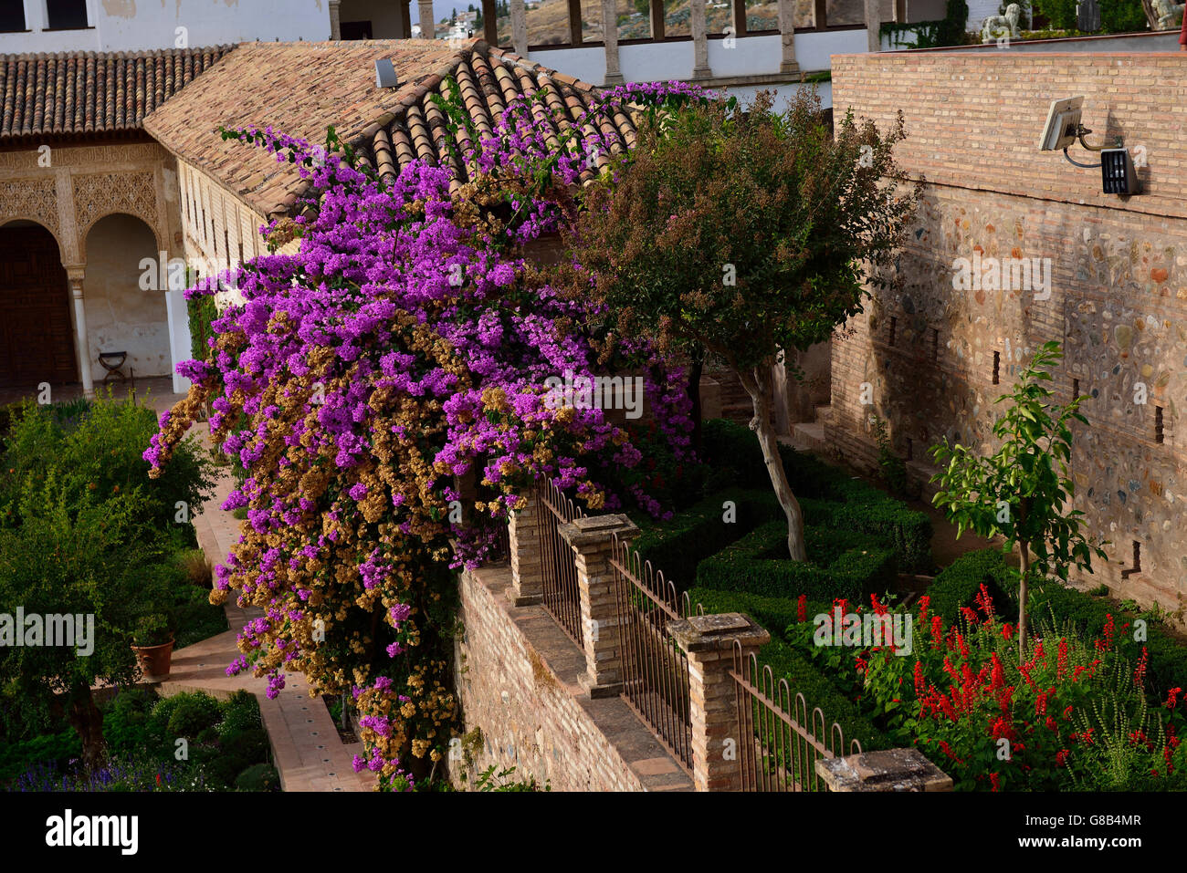 upper gardens, Generalife, Alhambra, Granada, Andalusia, Spain Stock ...
