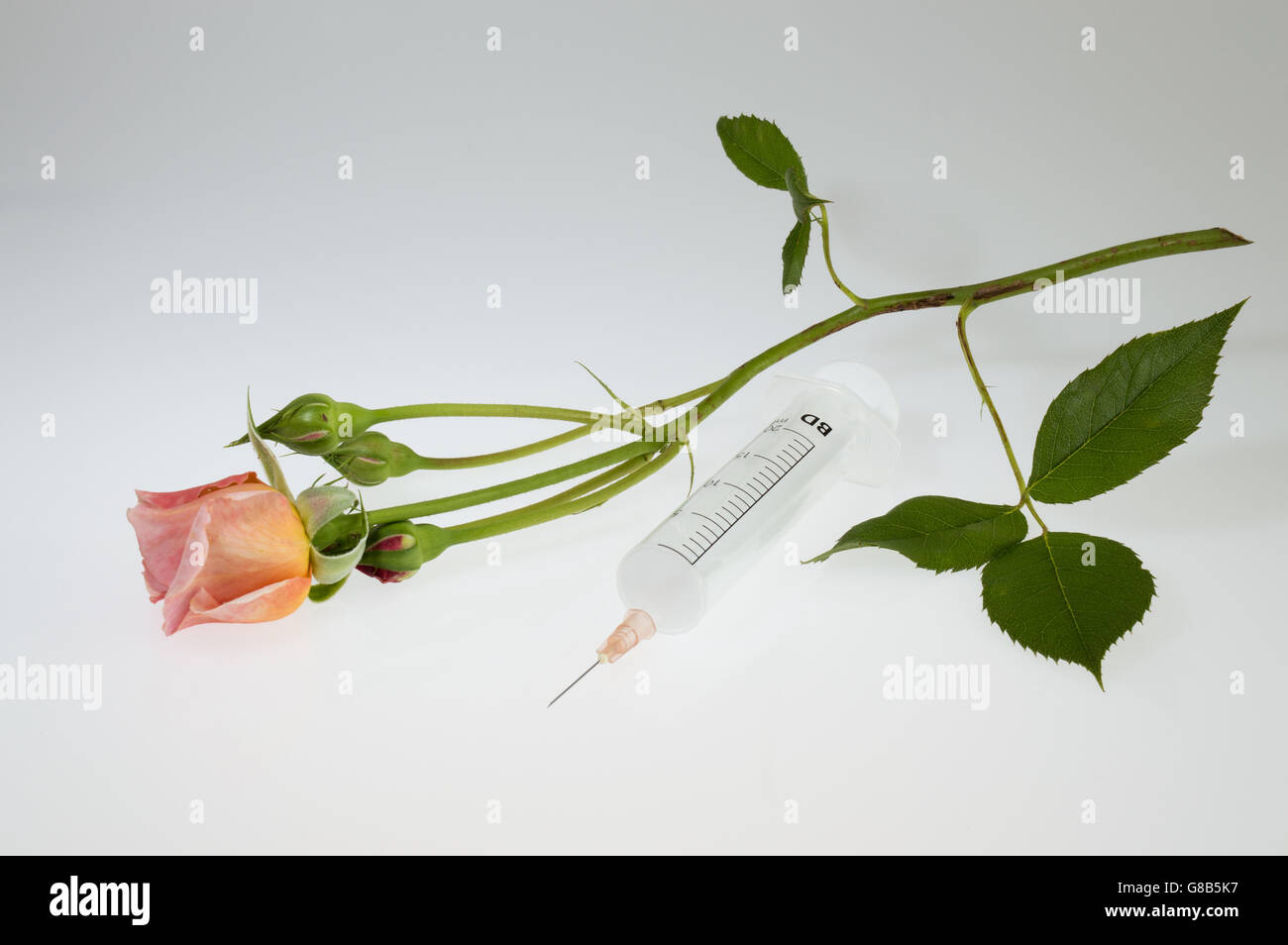Euthanasia - A Rose and a Syringe Stock Photo - Alamy