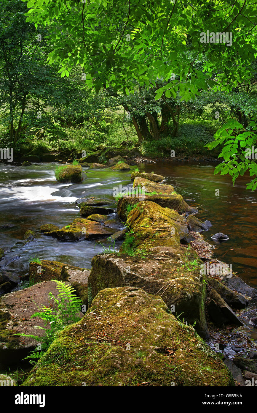 River derwent waterfall hi-res stock photography and images - Alamy