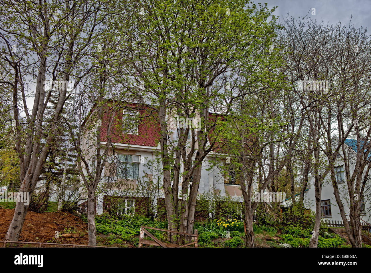 House and trees in Akureyri, Northern Iceland Stock Photo - Alamy
