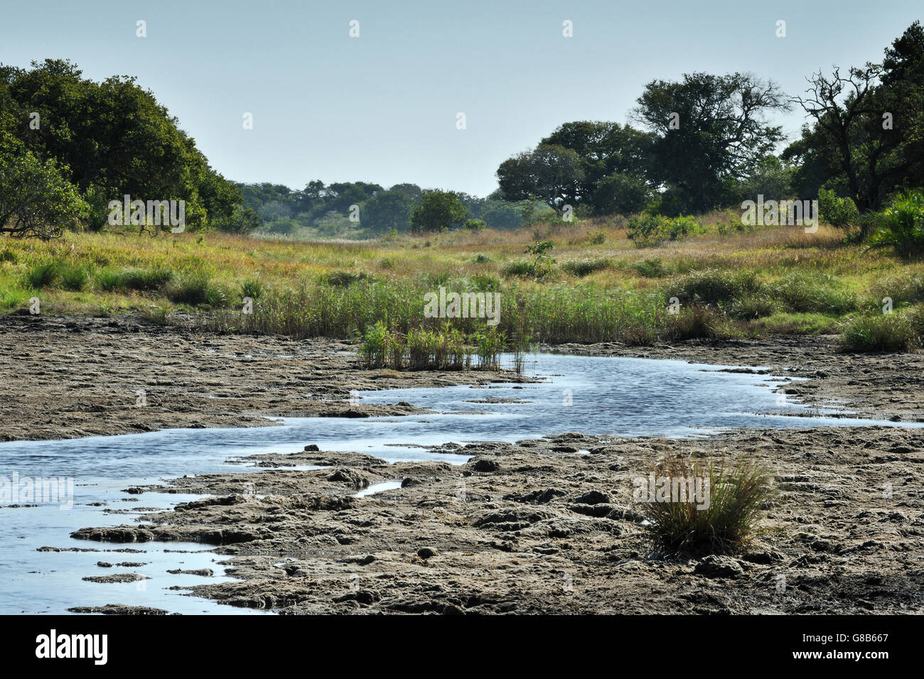 Mozambique Maputo Special Reserve river Stock Photo - Alamy
