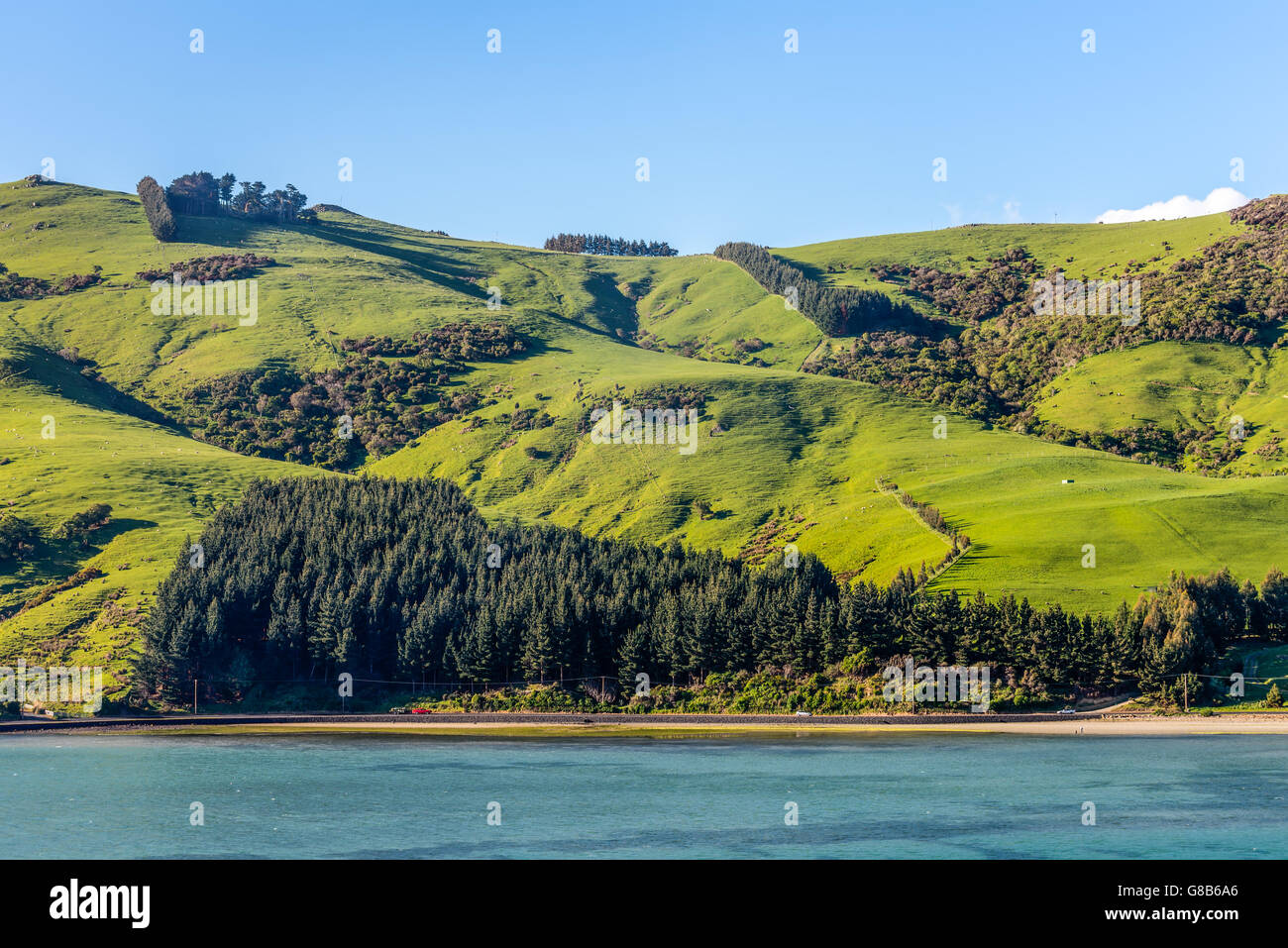 Beautiful landscape of the New Zealand - hills covered by green grass ...