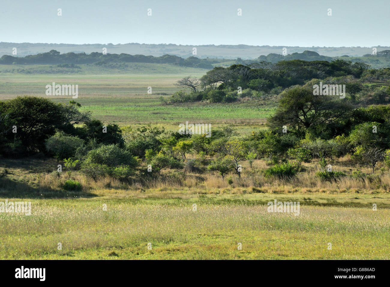 Trees and landscape, Maputo Special Reserve; Mozambique Stock Photo - Alamy