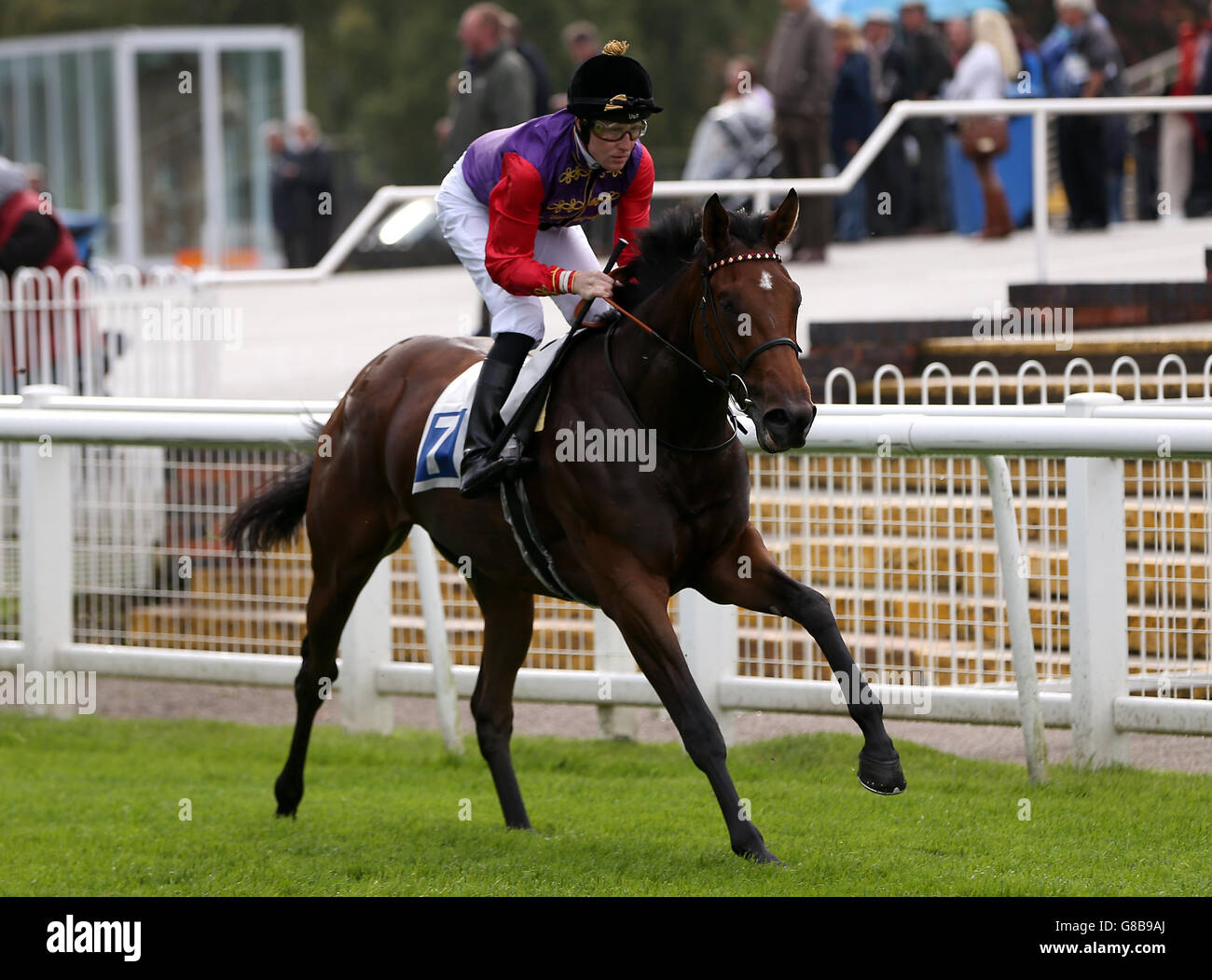 The british stallion studs ebf maiden fillies stakes hi-res stock ...