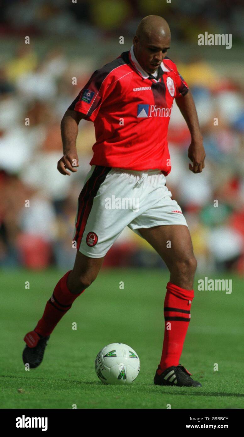 Pierre van hooijdonk forest hi-res stock photography and images - Alamy