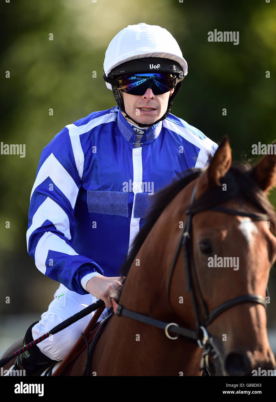 Jockey fergus sweeney at windsor racecourse hi-res stock photography and images - Alamy