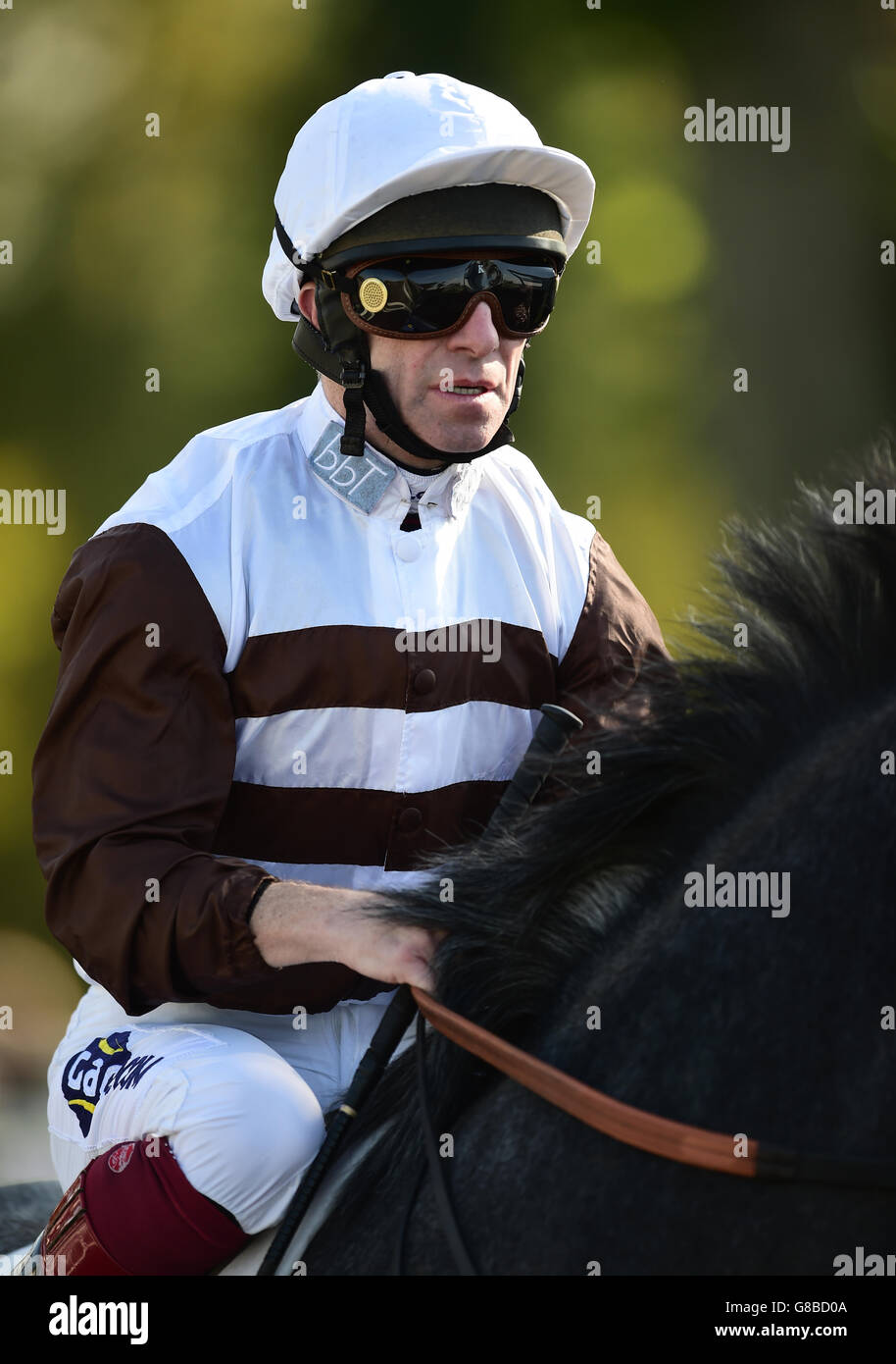 Jockey franny norton at windsor racecourse hi-res stock photography and ...